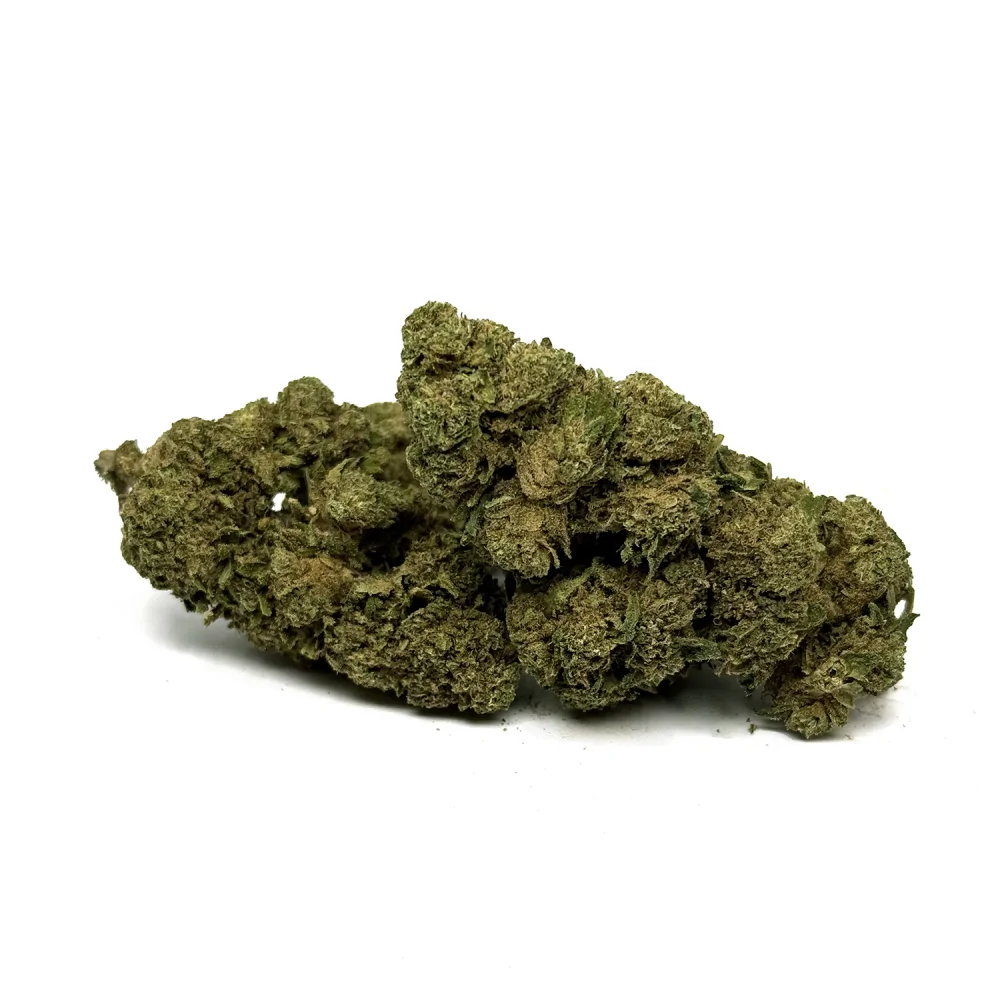 Fleur CBD Pineapple Express Greenhouse | Prix Grossiste & Particulier