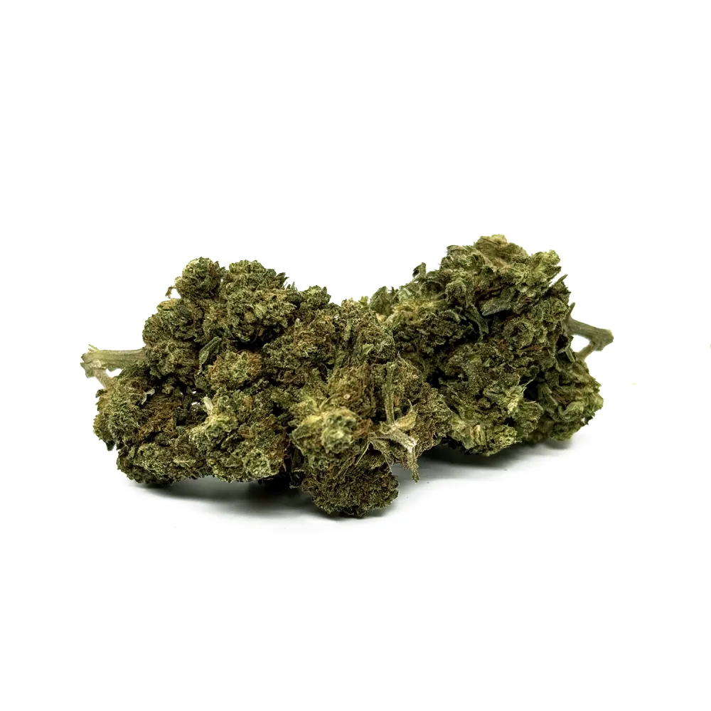 Fleur de CBD Silver Haze 1kg | Vente en Gros | Prix Grossiste CBD'eau