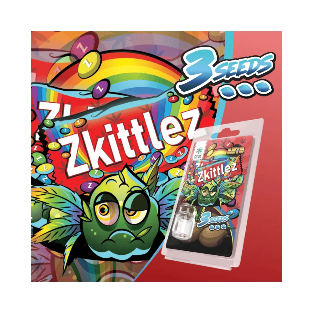Graines Zkittlez Auto CBD | Pack 3 graines autofloraison Plant of Life