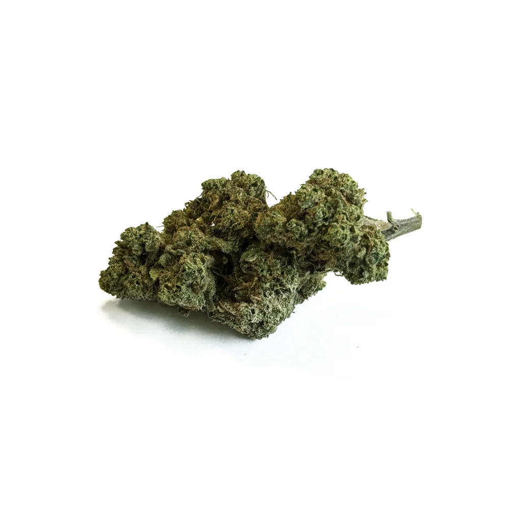 California Kush CBD Greenhouse | Fleur Premium Exceptionnelle ...