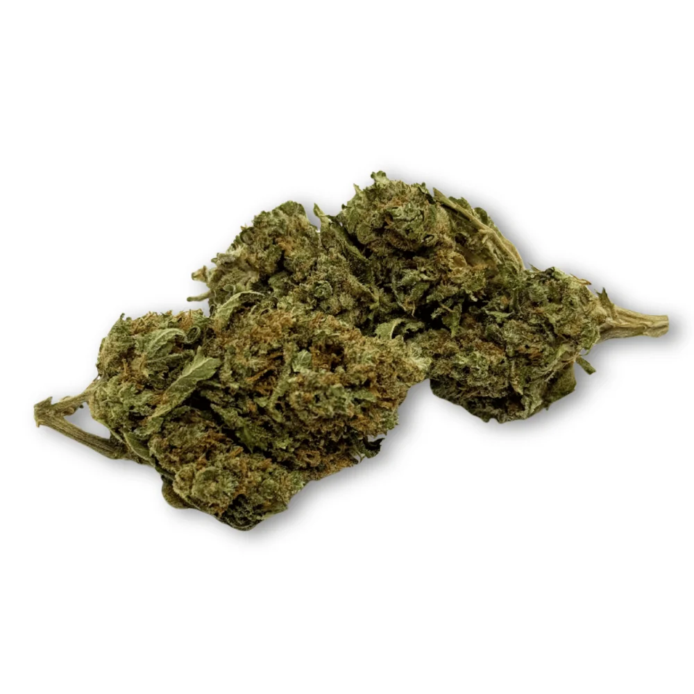 Fleur CBD Harlequin Indoor Suisse | CBD'eau - Prix Bas Garanti