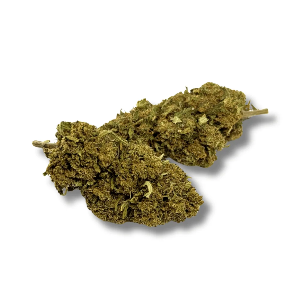 Fleur CBD Buddha Fruit Indoor Premium | Grossiste CBD & Particuliers