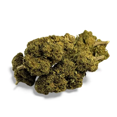 Fleur CBD Black Mamba Greenhouse Premium 2025 | Achat CBD pas cher