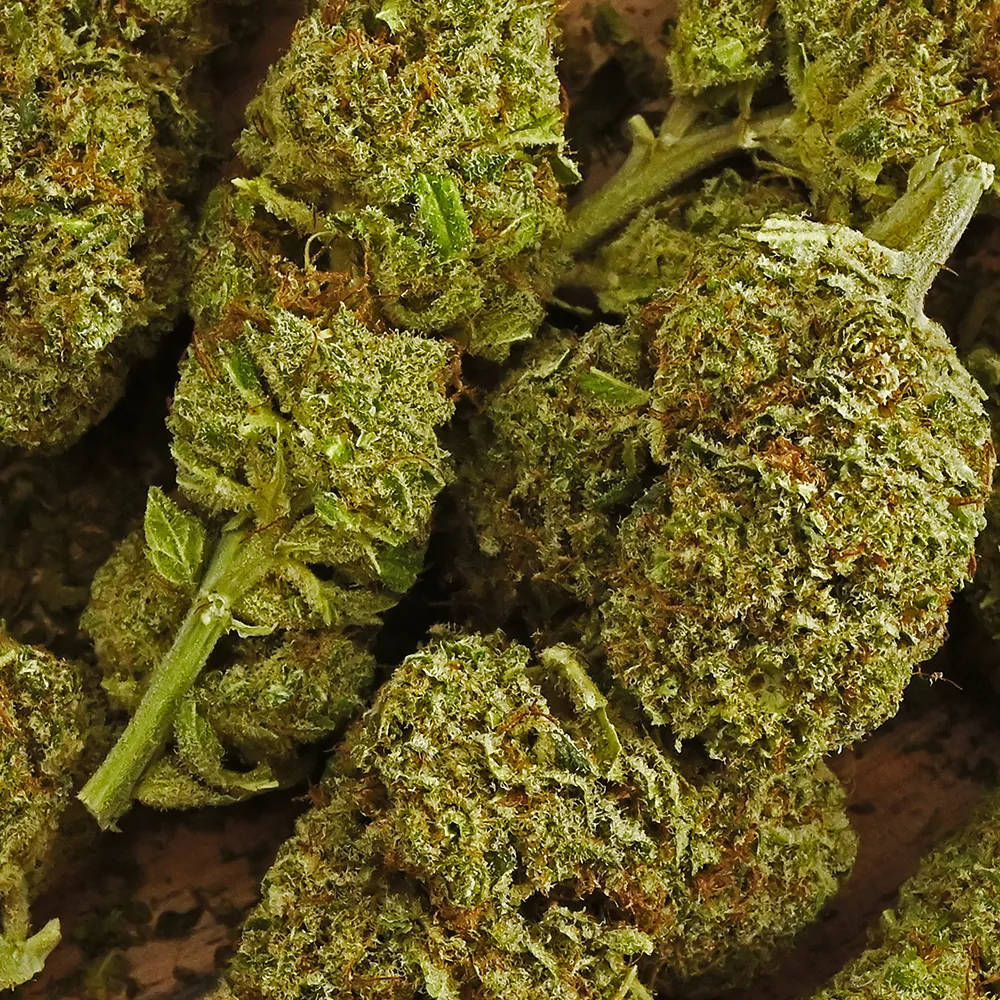 FLEUR DE CBD INDOOR | OG DIAMOND