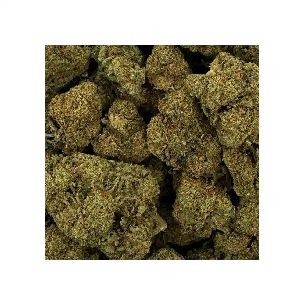 FLEUR DE CBD RASPBERRY HAZE - GREENHOUSE PREMIUM