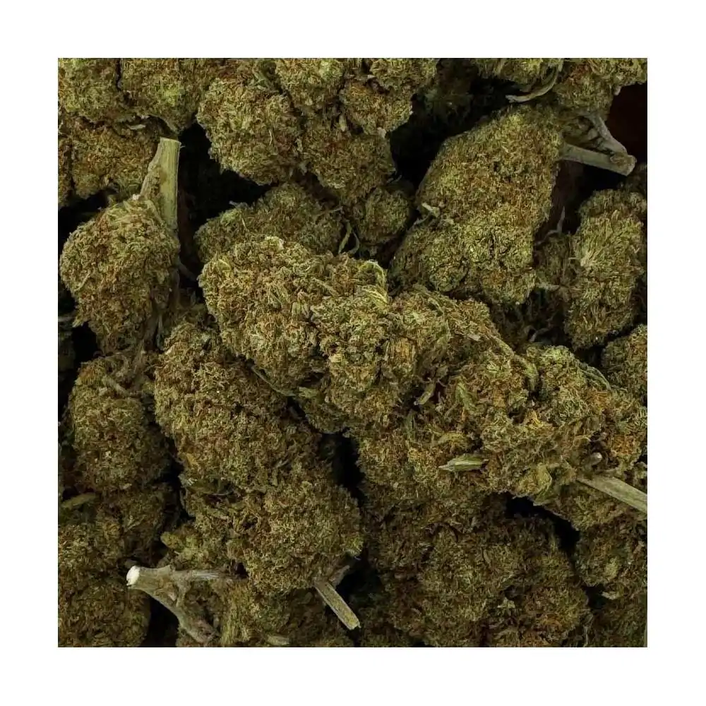 FLEUR DE CBD BLUEBERRY - GREENHOUSE PREMIUM