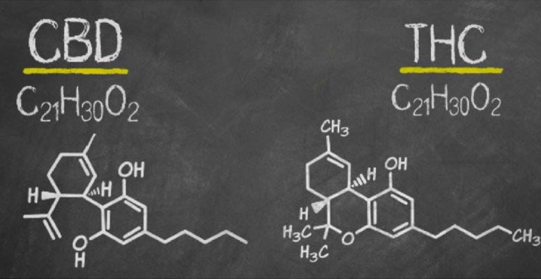Différence entre le THC et le CBD