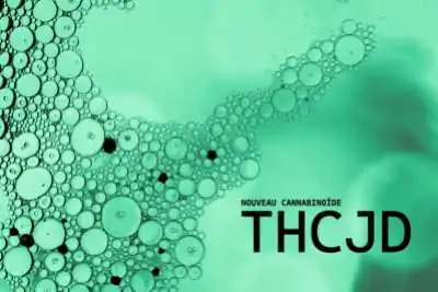 THCjd : un cannabinoïde avec des effets 20 fois plus fort que le THC