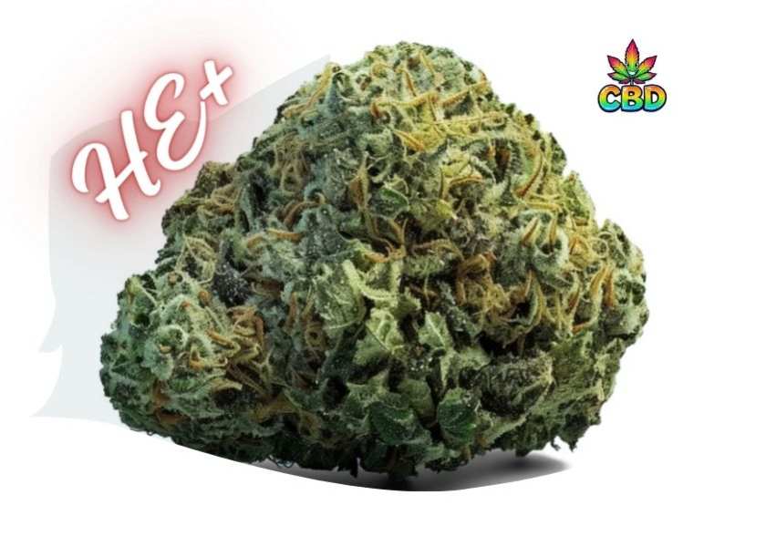 HE+ : La Prochaine Frontière de la Science des Cannabinoïdes et l ...